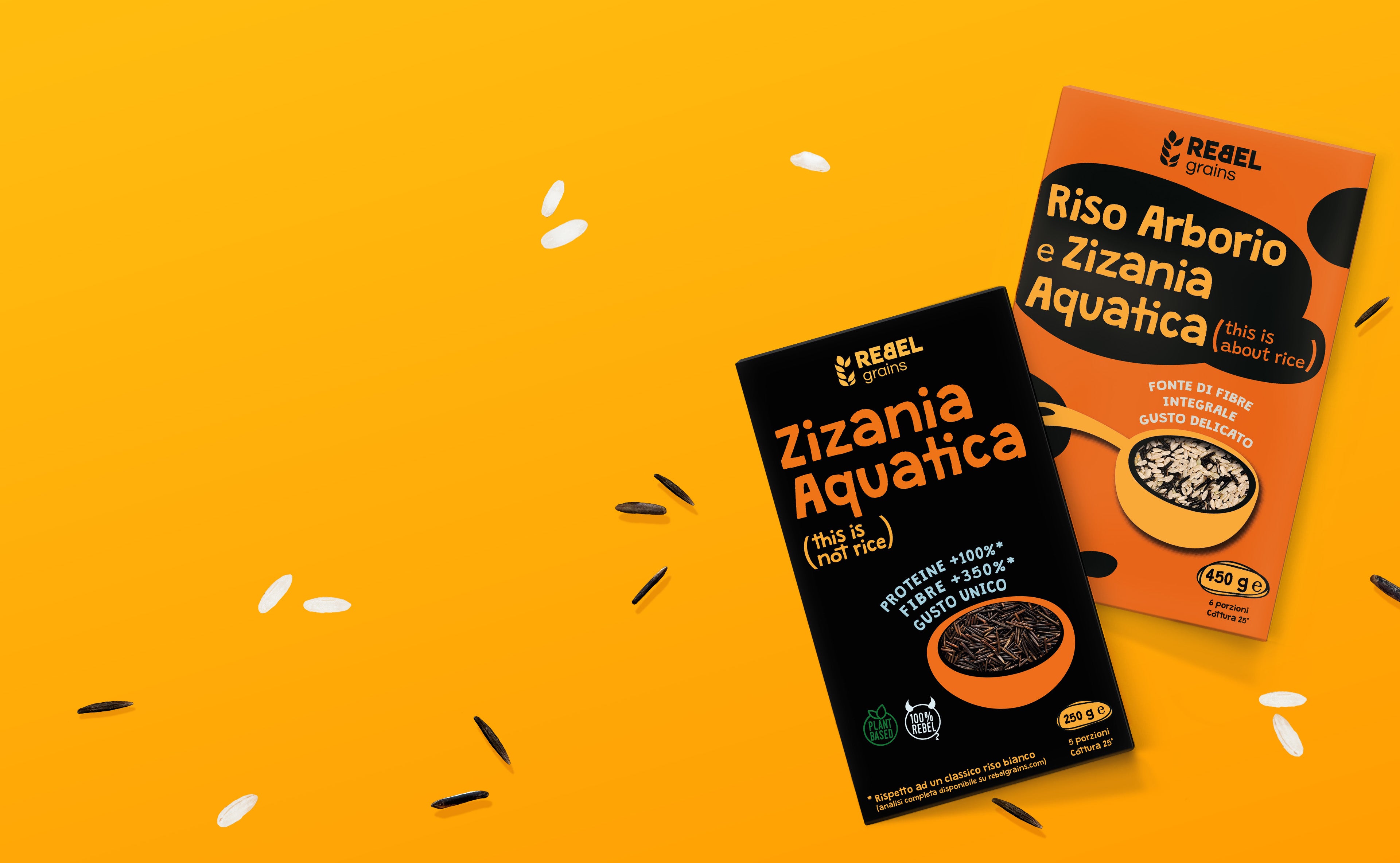 Our Zizania Aquatica wild rice stands as one of our Rebel Rice. – Rebel ...