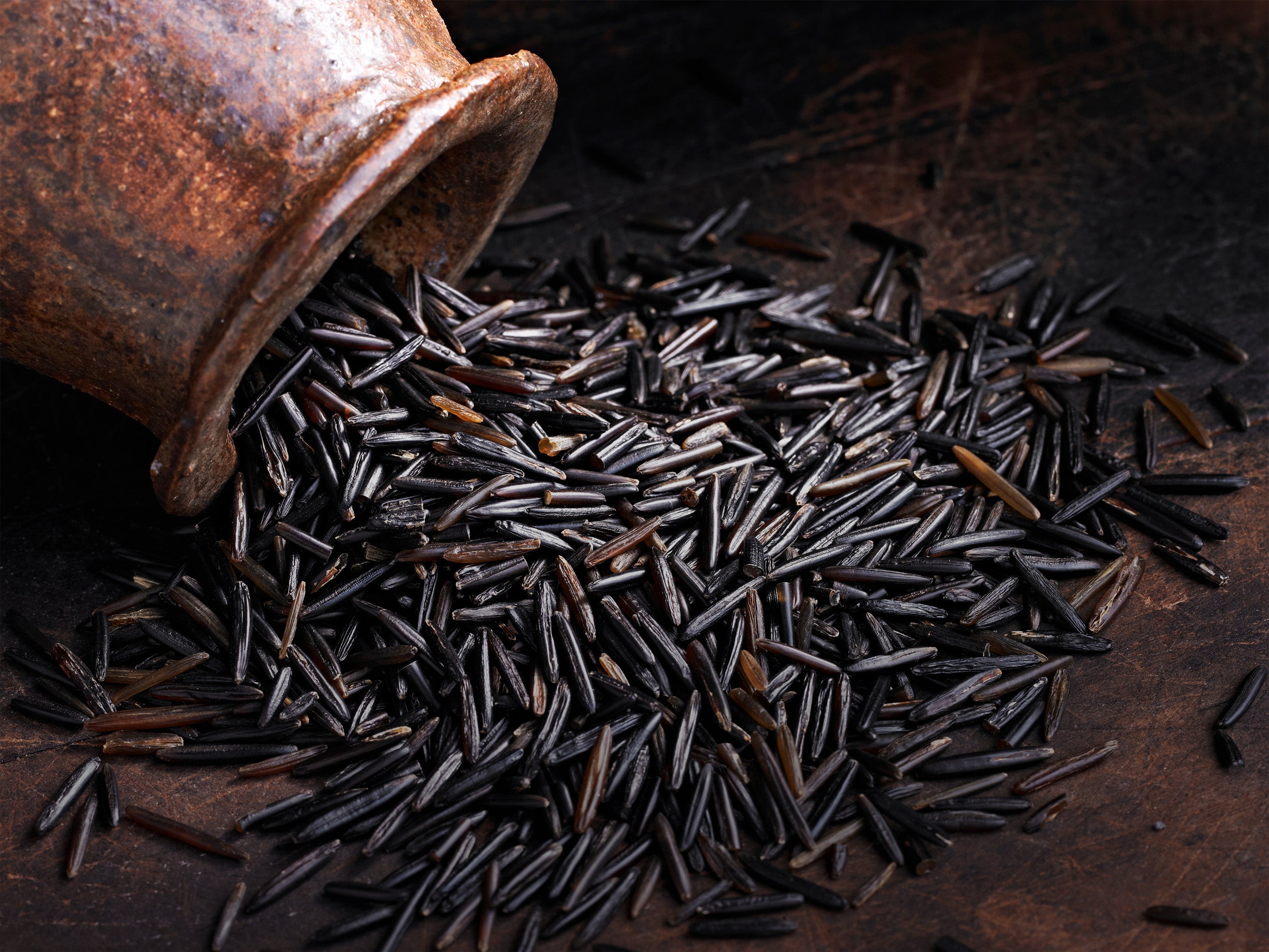 Our Zizania Aquatica wild rice stands as one of our Rebel Rice. – Rebel ...